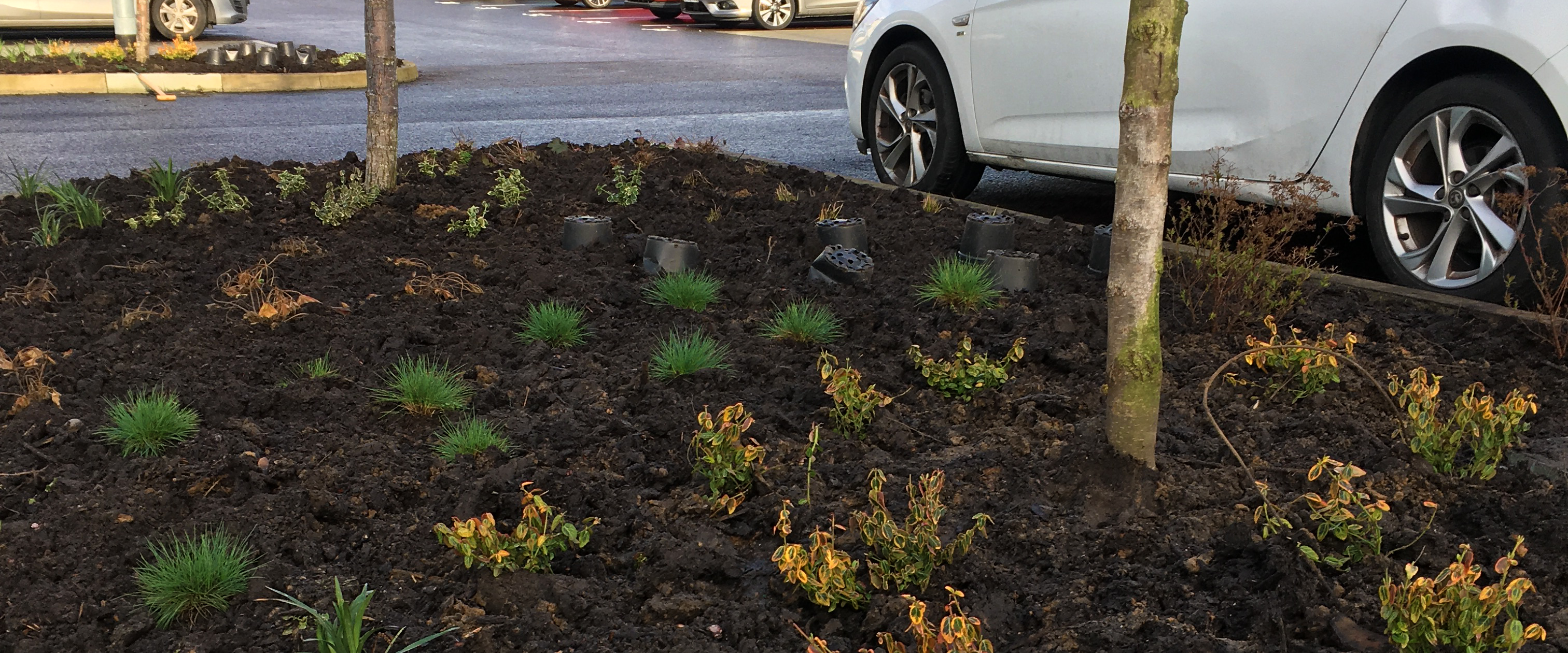 Bioblend™ - OUTCO Soil Improver - OUTCO